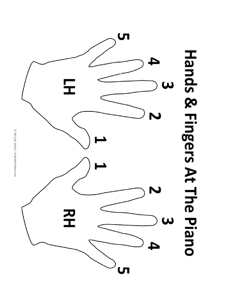 Beginner Piano Signs | PDF