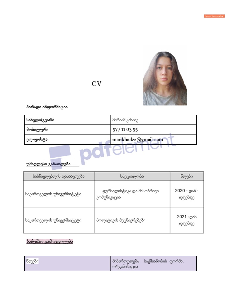 CV | PDF