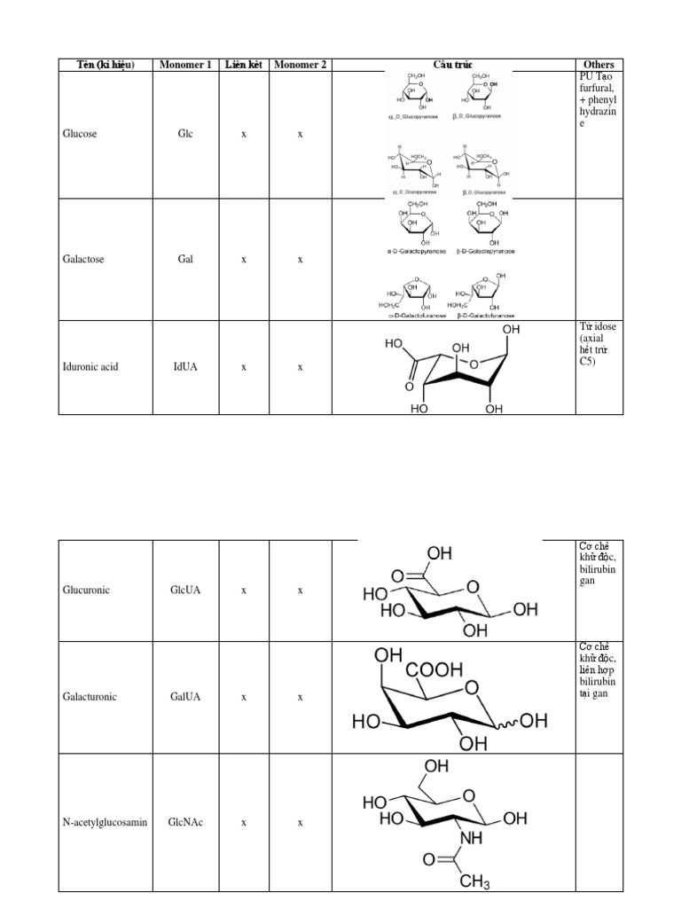 Note Glucid | PDF