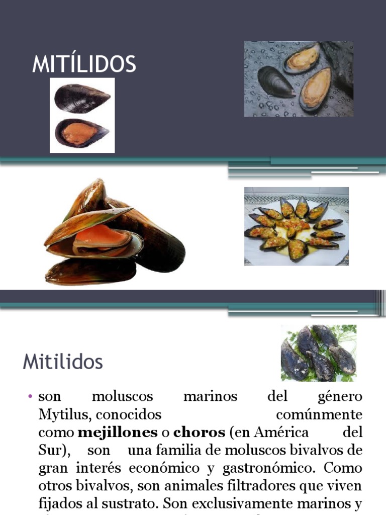 Características biológicas y extracción del mejillón chileno (Mytilus ...
