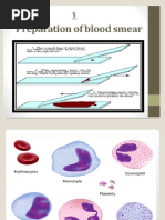 Biochemical Test and Identification of Pseudomonas Aeruginosa | PDF ...