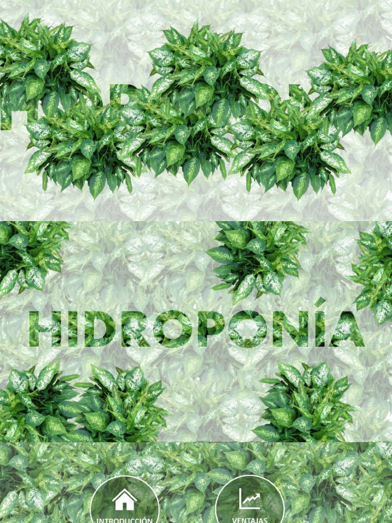 Hidroponia | PDF | Hidroponia | Botánica