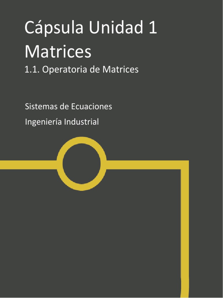 U11 - Operatoria de Matrices (Capsula) | PDF | Matriz (Matemáticas) | Sistema de ecuaciones lineales