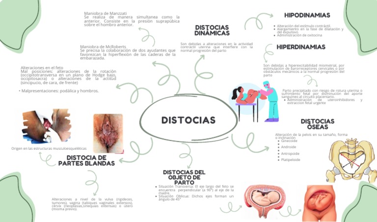 Distosia | PDF | Parto | Reproducción humana