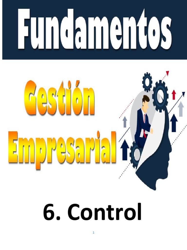 Principios y Proceso de Control Empresarial | PDF | Planificación ...