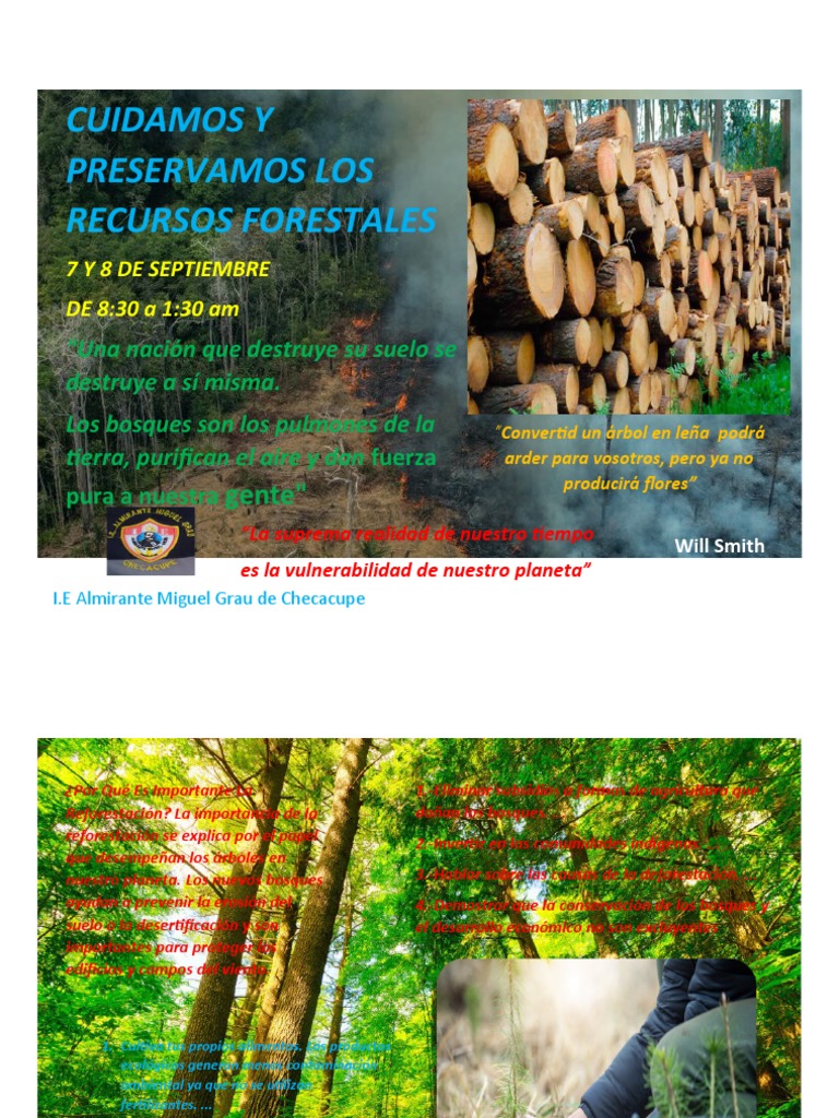 Cuidamos Y Preservamos Los Recursos Forestales: Gente" | PDF