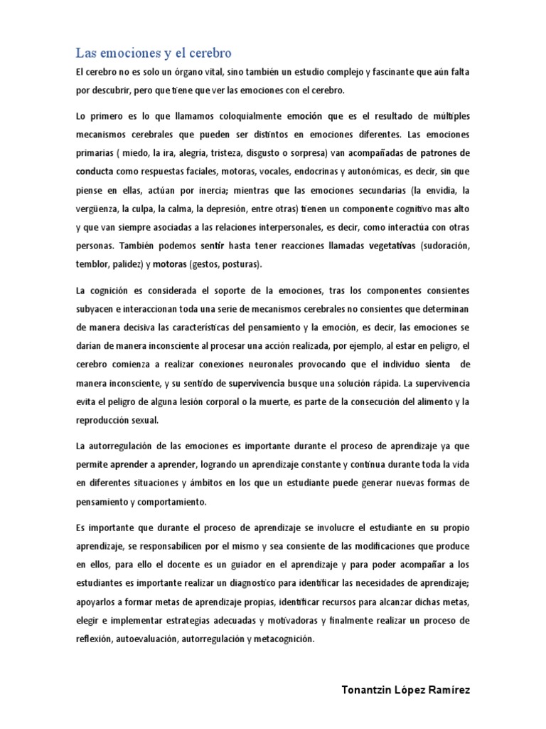 El Cerebro Y Las Emociones Pdf Las Emociones Aprendizaje