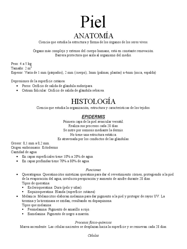 Piel Resumen | PDF | Piel | Morfología (biología)