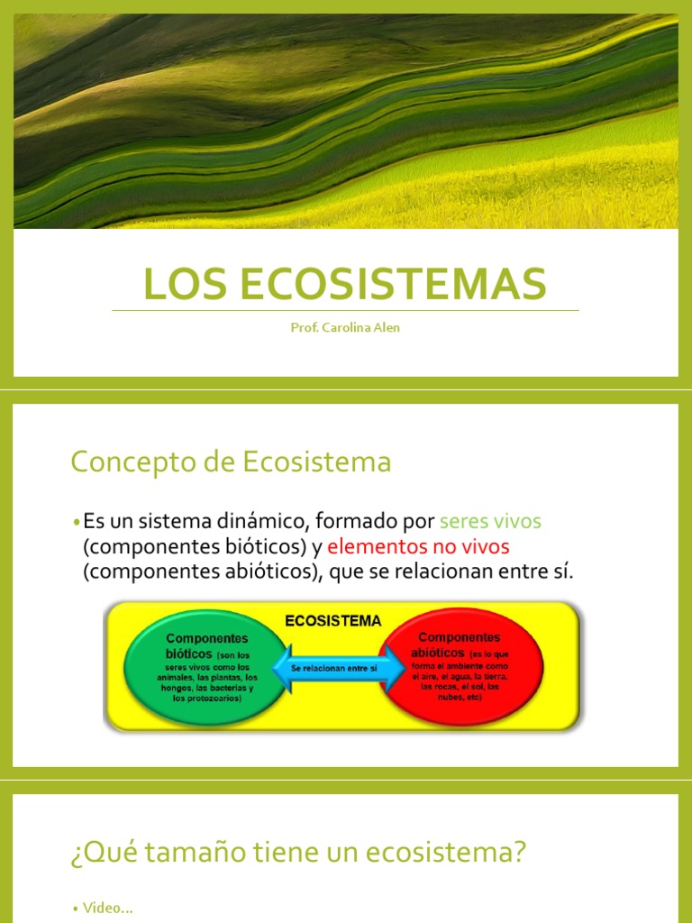 Los fundamentos de los ecosistemas: componentes, estructura y función | PDF