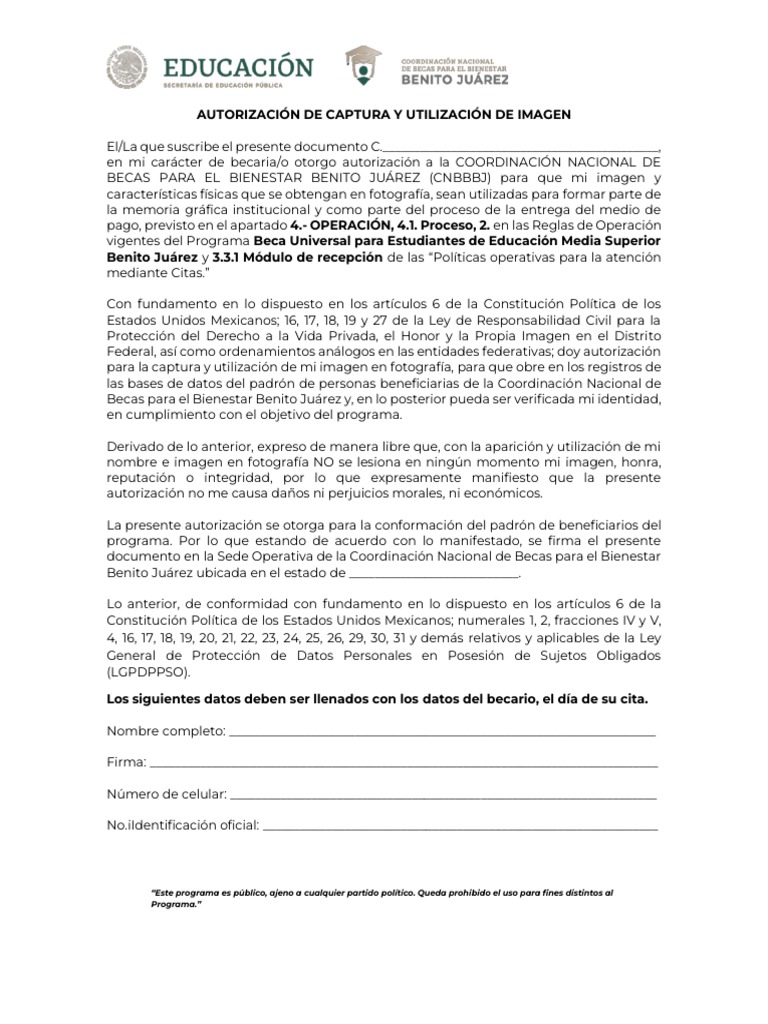 Autorizacion Mayor Ok | PDF | México | Constitución