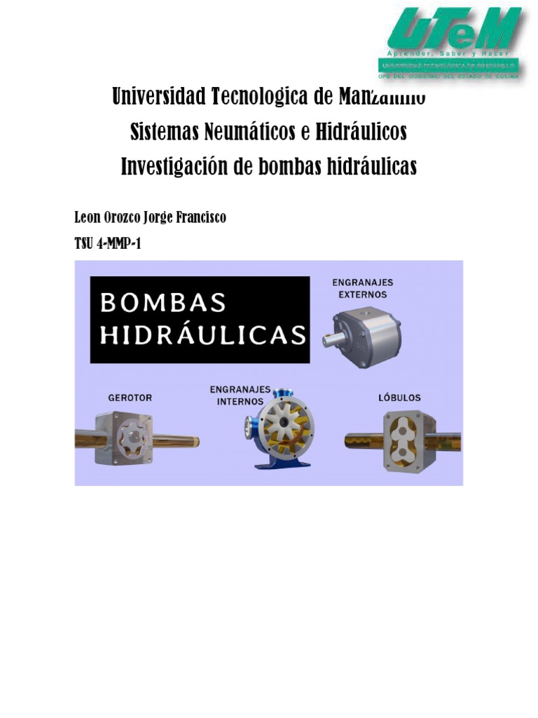 Investigacion de Bombas Hidraulicas v2 | PDF | Bomba | Engranaje