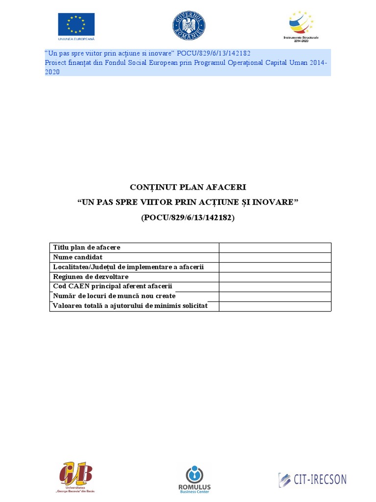 Macheta Plan de Afaceri - 142182 - Final | PDF