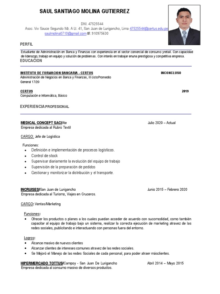 CV Saulmolina | PDF | Logística | Marketing