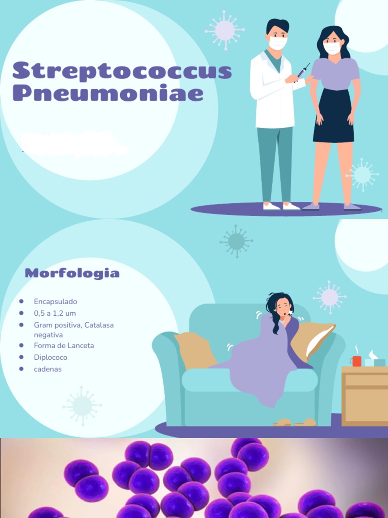Streptococcus Pneumoniae | PDF | Neumonía | Meningitis