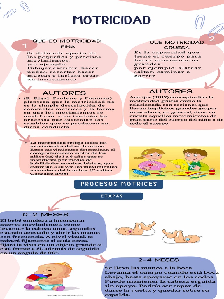 Motricidad Fina y Gruesa | PDF