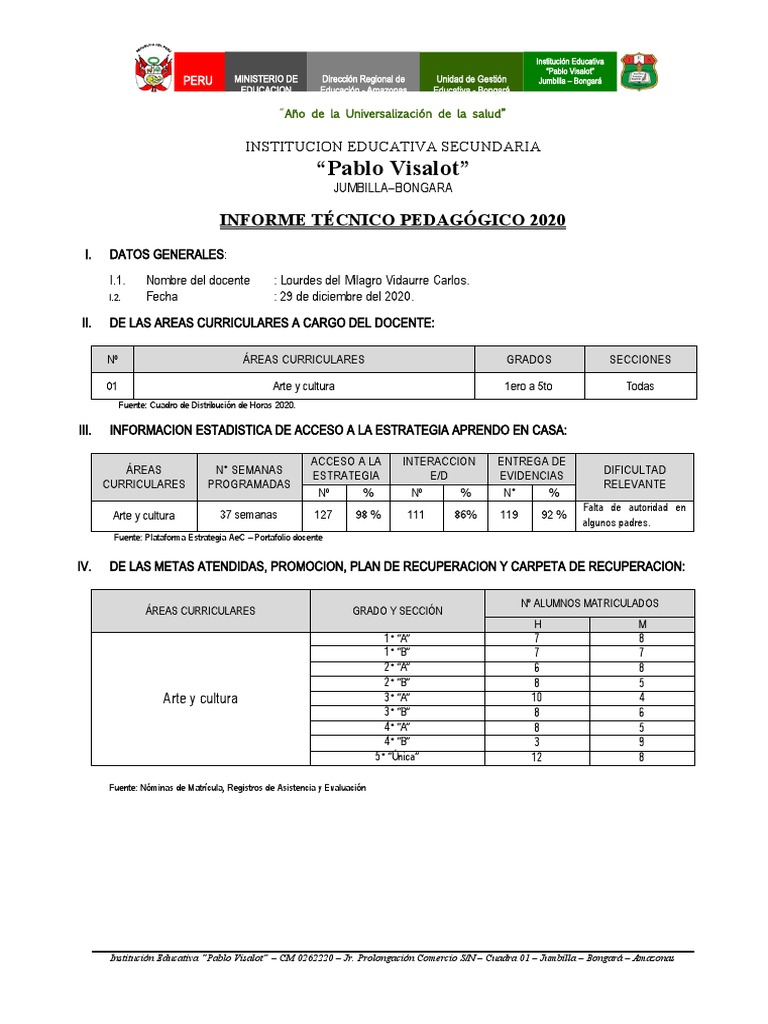 Informe Tecnico Pedagogico 2020 | PDF | Las emociones | Aprendizaje