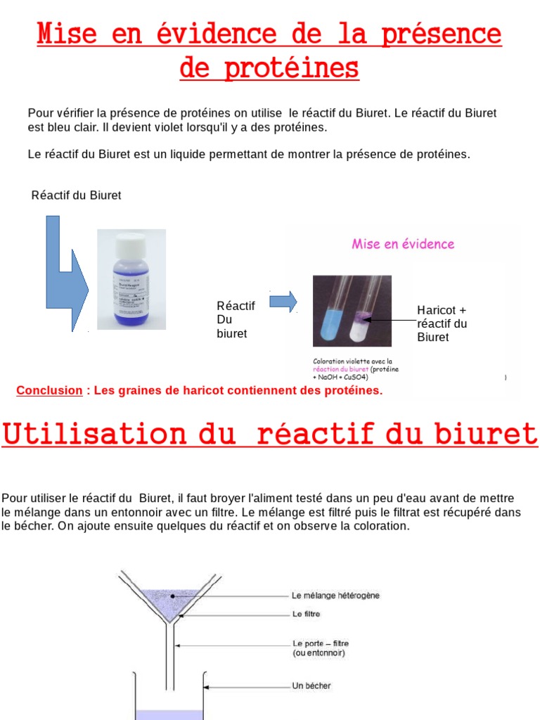 Test de Biuret pour détecter les protéines | PDF | Sciences et ...