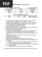 Extracción de ADN - Método CTAB | PDF