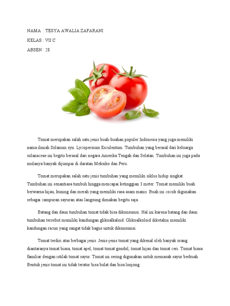 Teks Hasil Observasi Safa | PDF