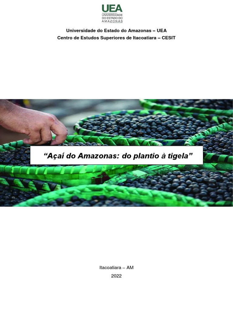 Projeto Comercialização - Açaí. | PDF | Agricultura