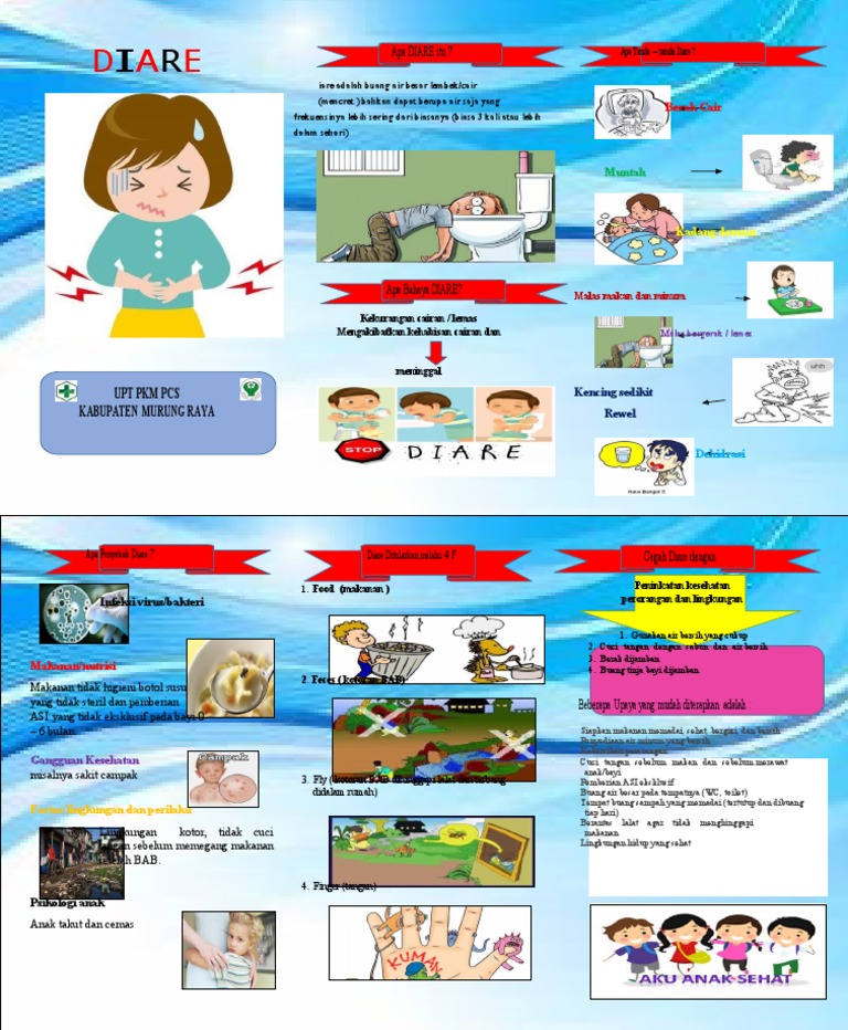 Leaflet Diare 2 | PDF