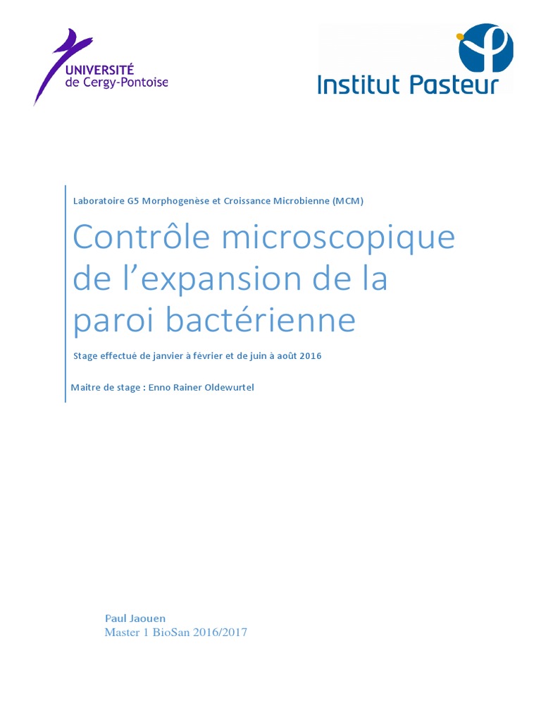 Rapport de Stage Institut Pasteur - Paul JAOUEN | PDF | Cell (Biology) | Cell Wall