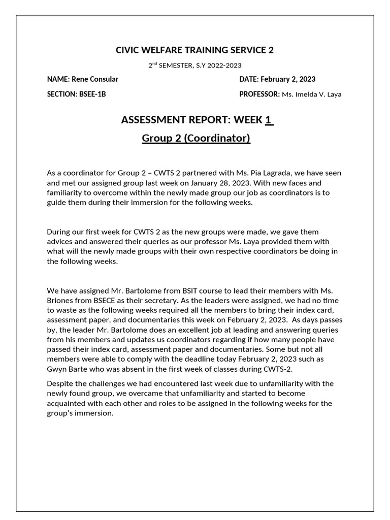 CWTS 2 Week 1 Assessment Report | PDF