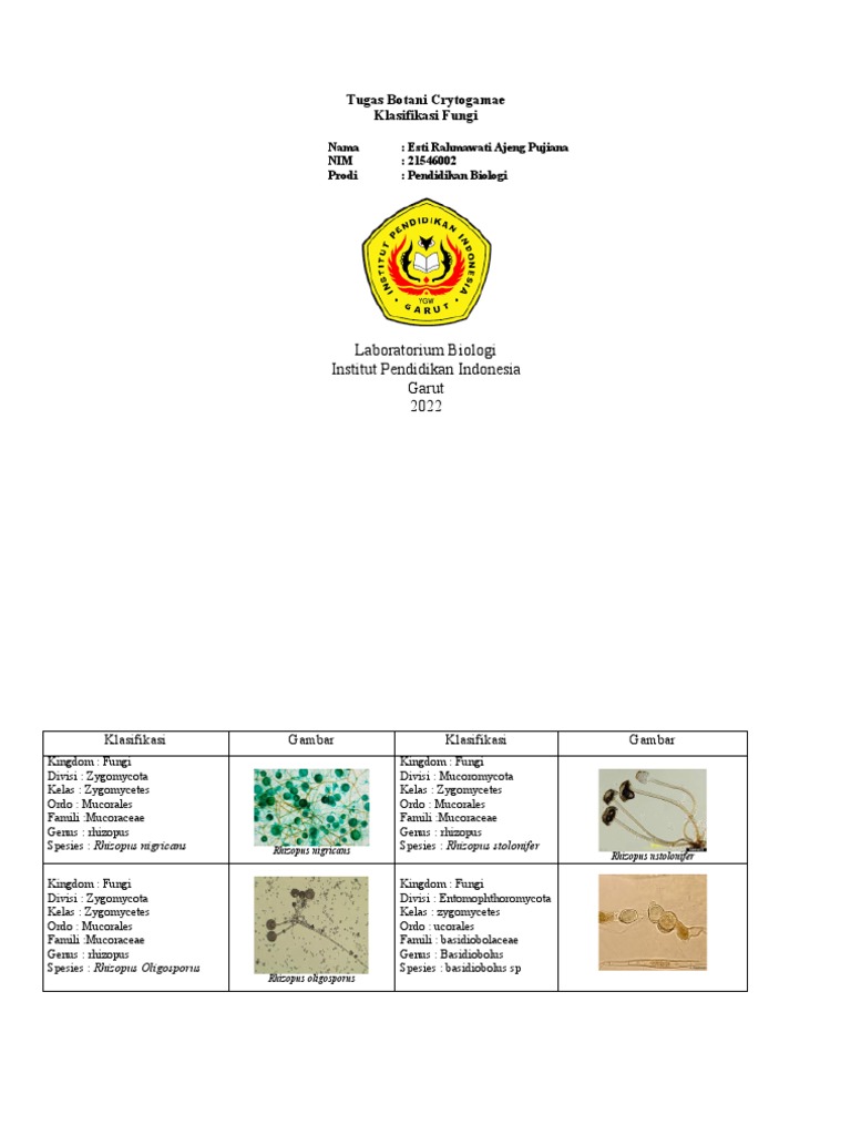 Klasifikasi Lengkap Kingdom Fungi | PDF