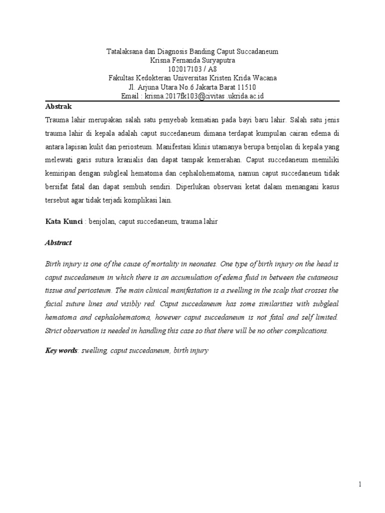 Krisna Sken 3 Blok 25 | PDF | Kesehatan Holistik