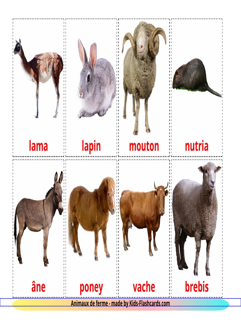 Animaux de Ferme 8 A4 | PDF