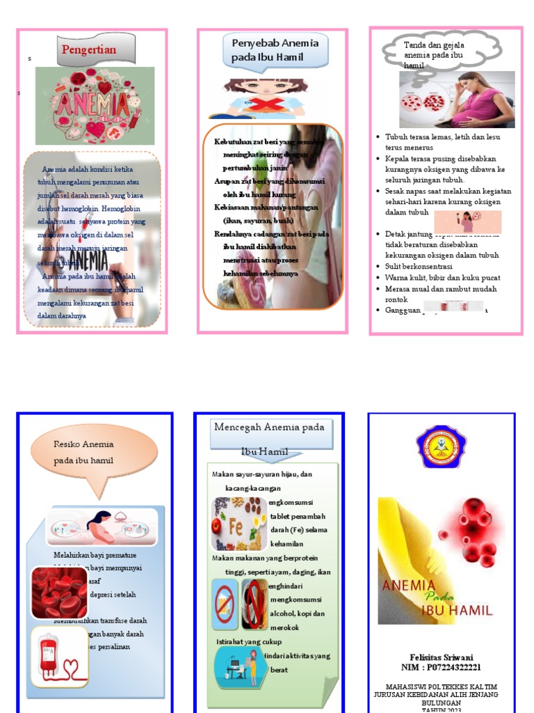 Leaflet Anemia Pada Ibu Hamil | PDF
