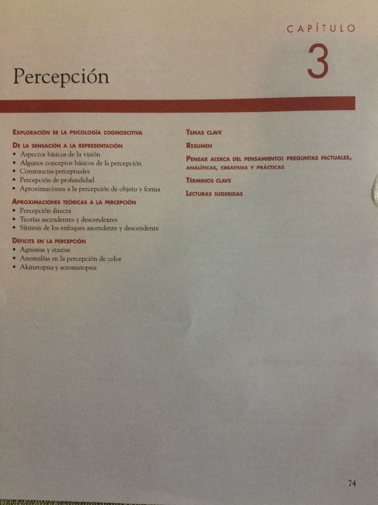Sternberg Cap3 | PDF | Percepción visual | Retina