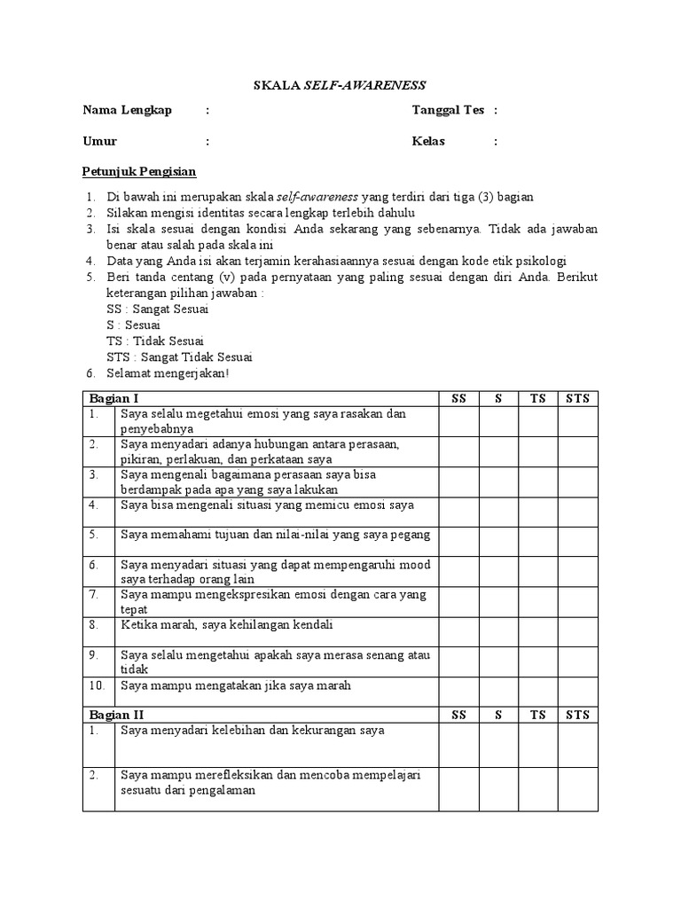 Skala Self Awareness | PDF