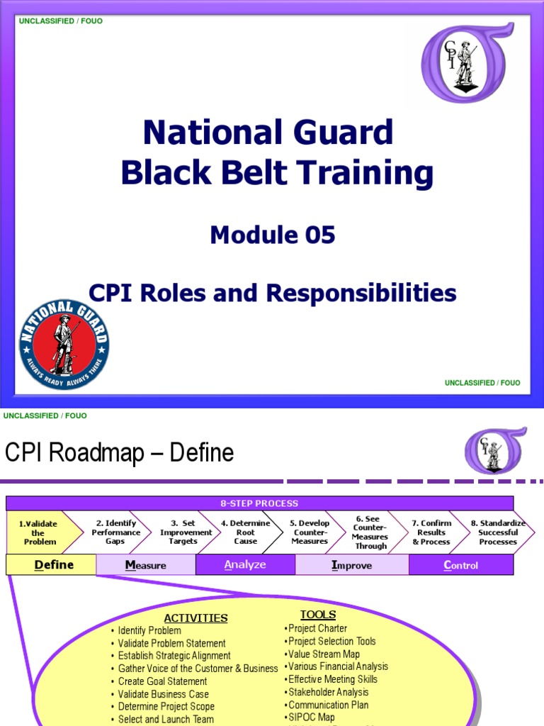 CPI Project Management Roles Overview | PDF | Risk Management | Mentorship