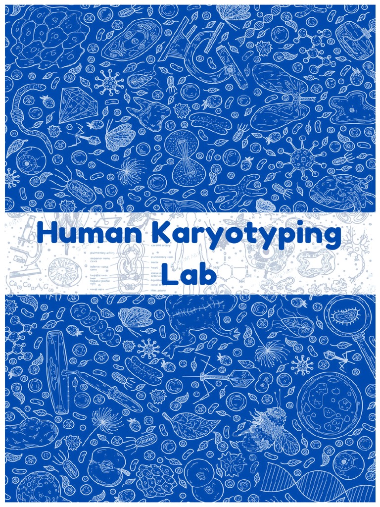 Human karyotyping | PDF | Karyotype | Chromosome