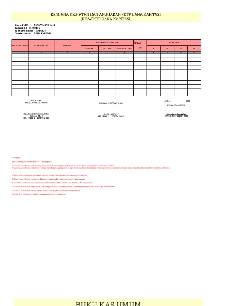 Format Laporan JKN | PDF