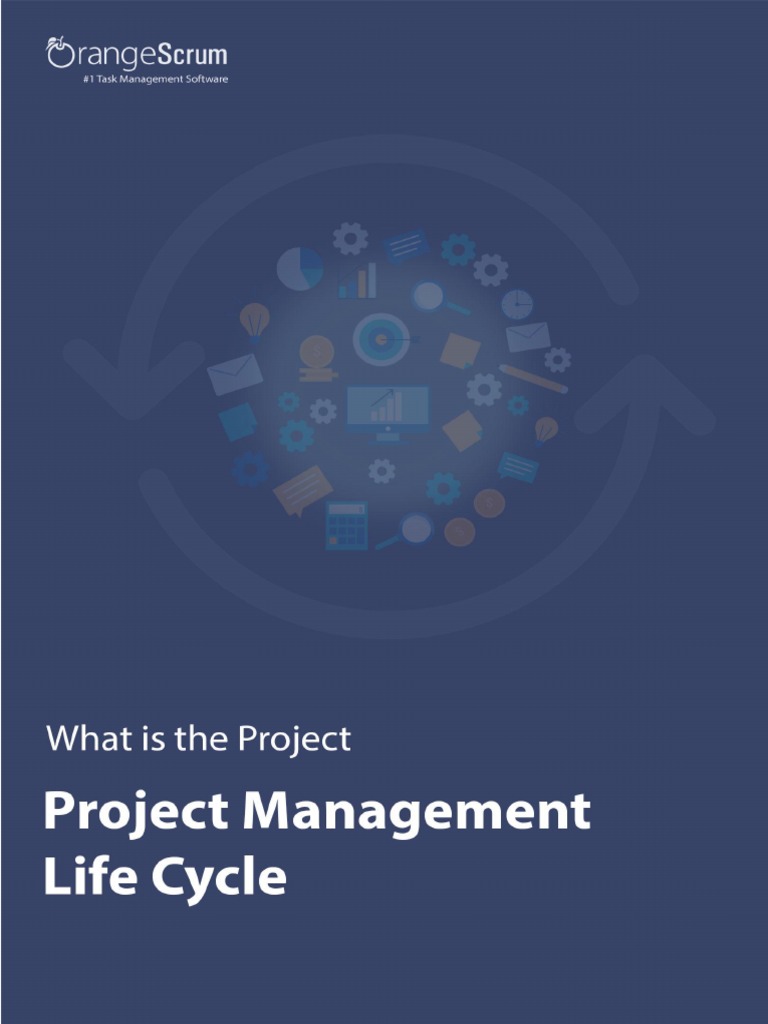Project Management Life Cycle | PDF | Project Management | Business