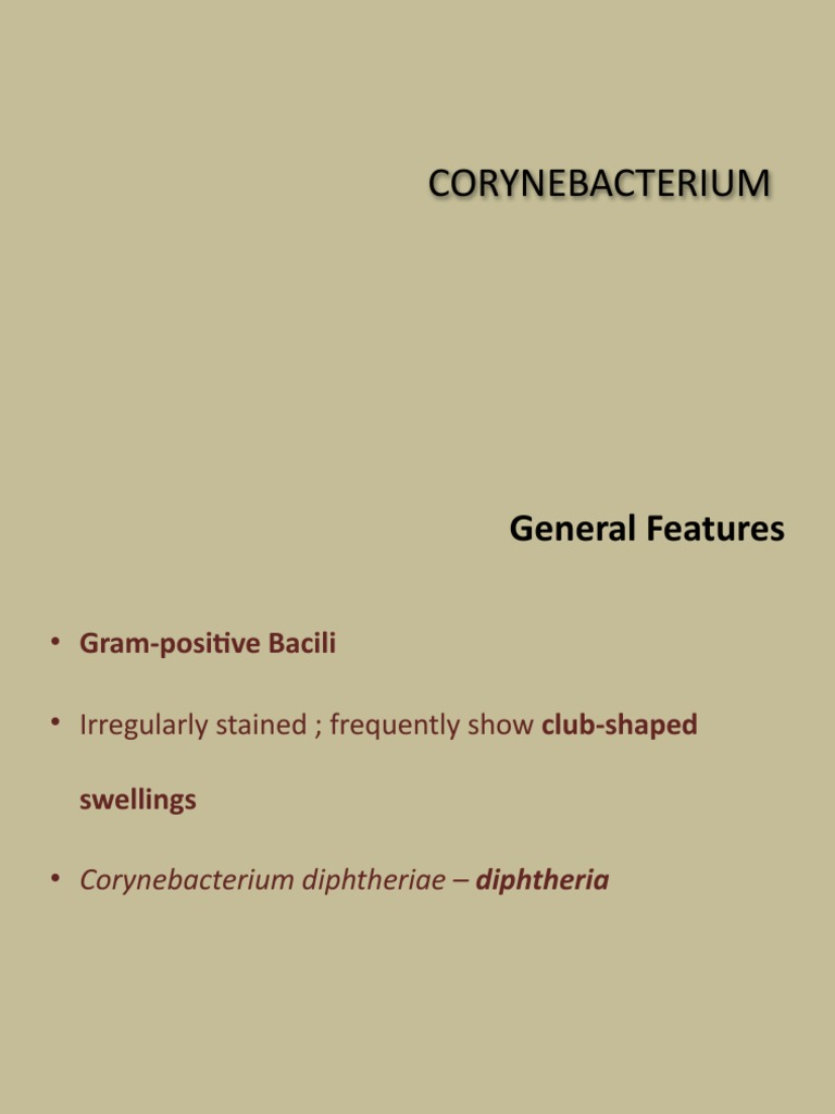 BDS - Corynebacterium (Autosaved) | PDF | Public Health | Microbiology
