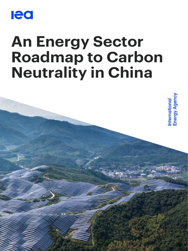 An Energy Sector Roadmap To Carbon Neutrality in China | PDF ...