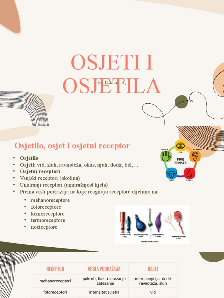 Osjeti I Osjetila. | PDF
