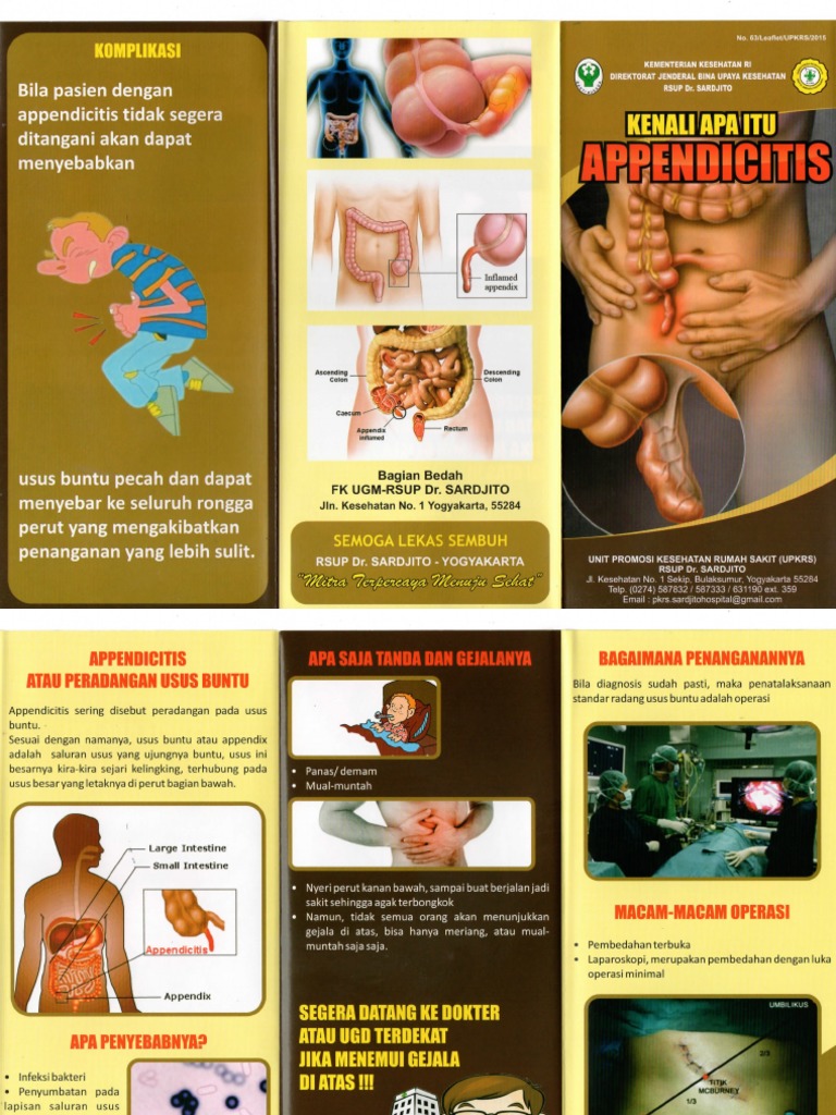 Leaflet Appendisitis | PDF