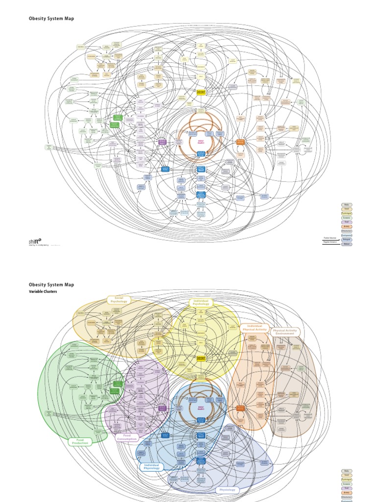 Shiftn Obesity Map A0 Kopie | PDF | Obesity | Eating