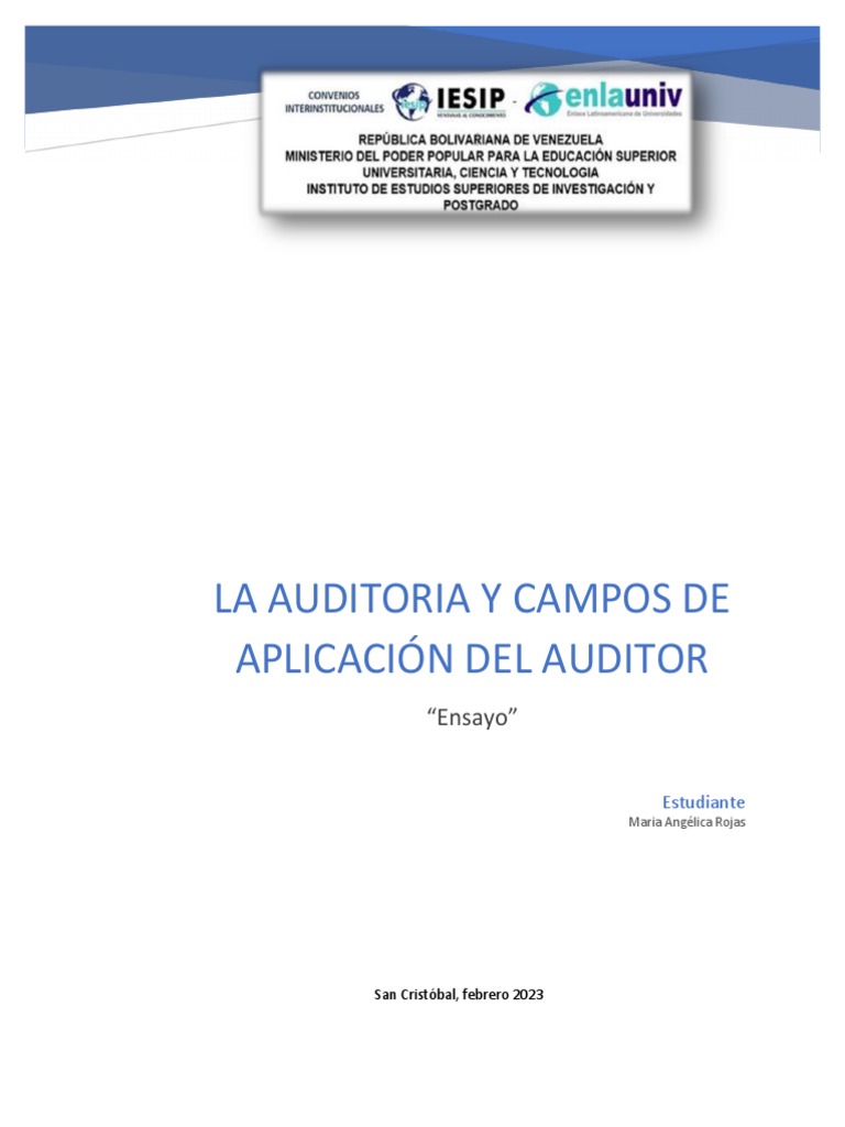 Ensayo Sobre El Auditor | PDF | Auditoría | Contralor