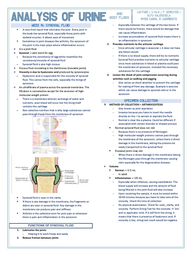 Aubf Lec Week 14 | PDF | White Blood Cell | Clinical Medicine