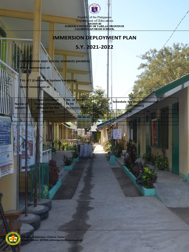 Immersion Deployment Plan | PDF