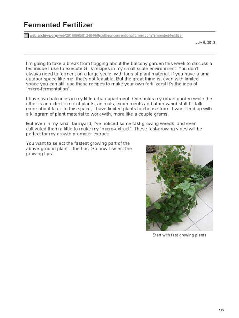Micro-Fermented Organic Fertilizer Guide | PDF | Lactobacillus ...