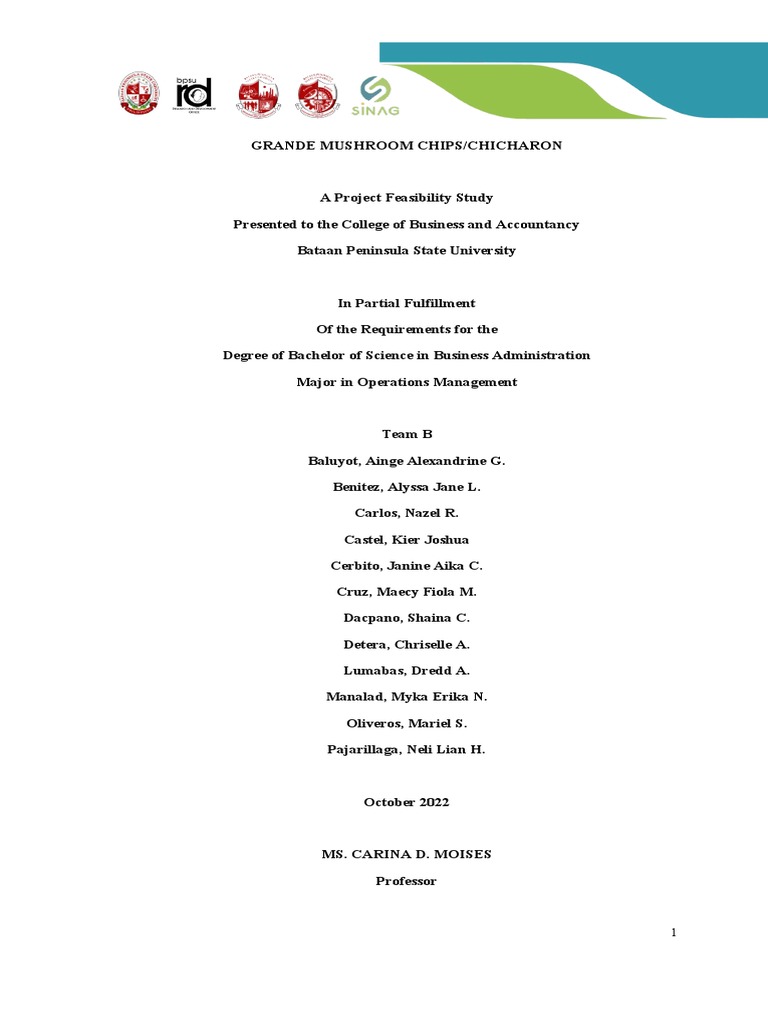 Feasib | PDF | Welfare | Employment