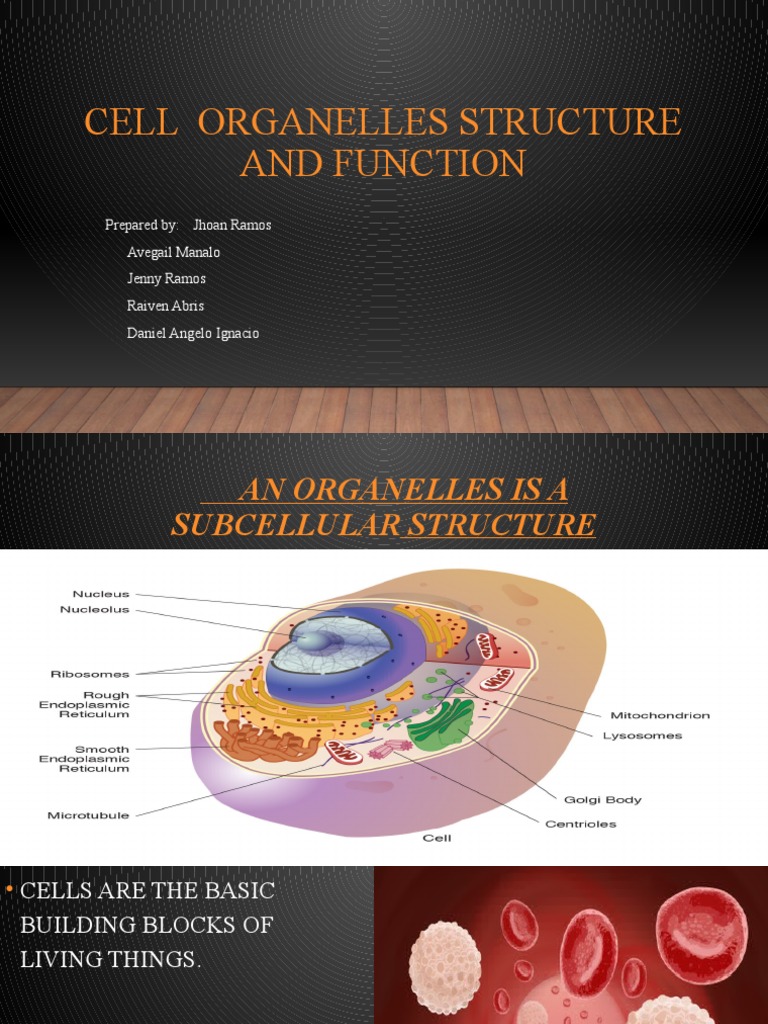 Cell | PDF | Cell (Biology) | Eukaryotes