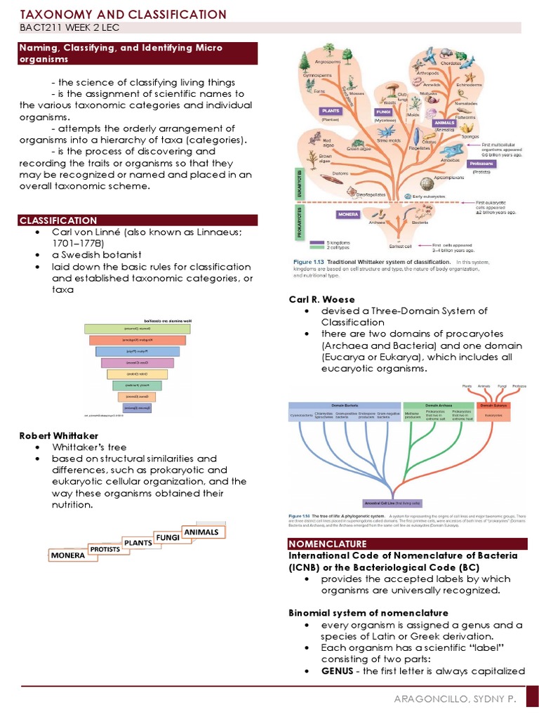 Bact211 Lec Week 2 Taxonomy and Classification | PDF | Cell Membrane | Bacteria