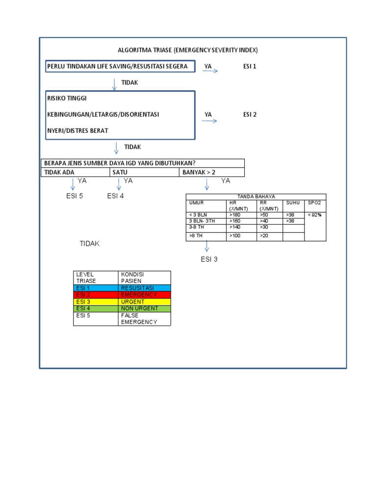 Algoritma Triase 2022 | PDF